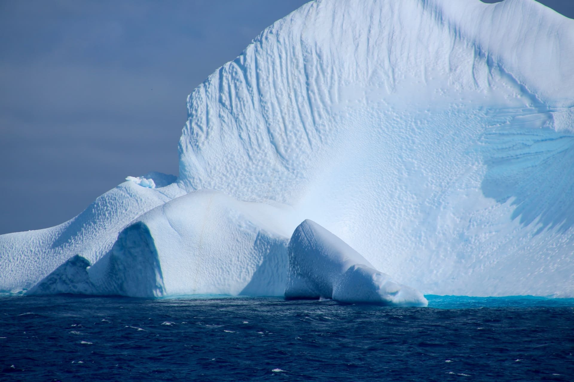 Expedition Blog - Rose Lasham, South Georgia 2023 | Antarctic Heritage ...