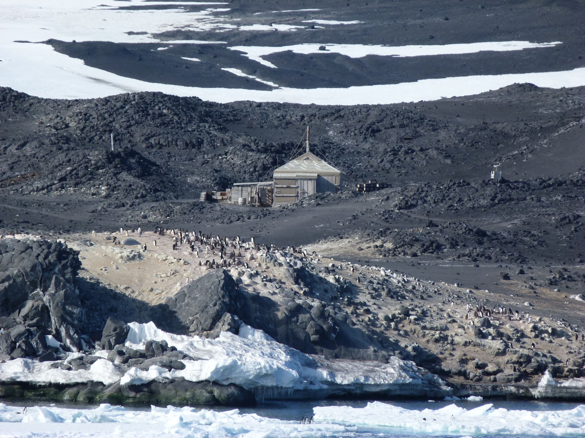 Expedition Blog - Maia Ingoe, Ross Sea 2025 | Antarctic Heritage Trust